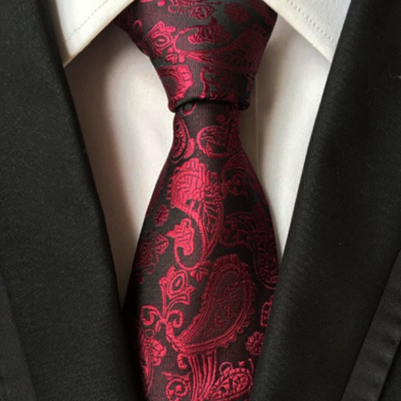 Simple Burgundy Paisley Tie | Classy Men Collection